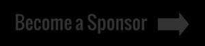 Challenge Cup Series | Formula Vee Racing Series